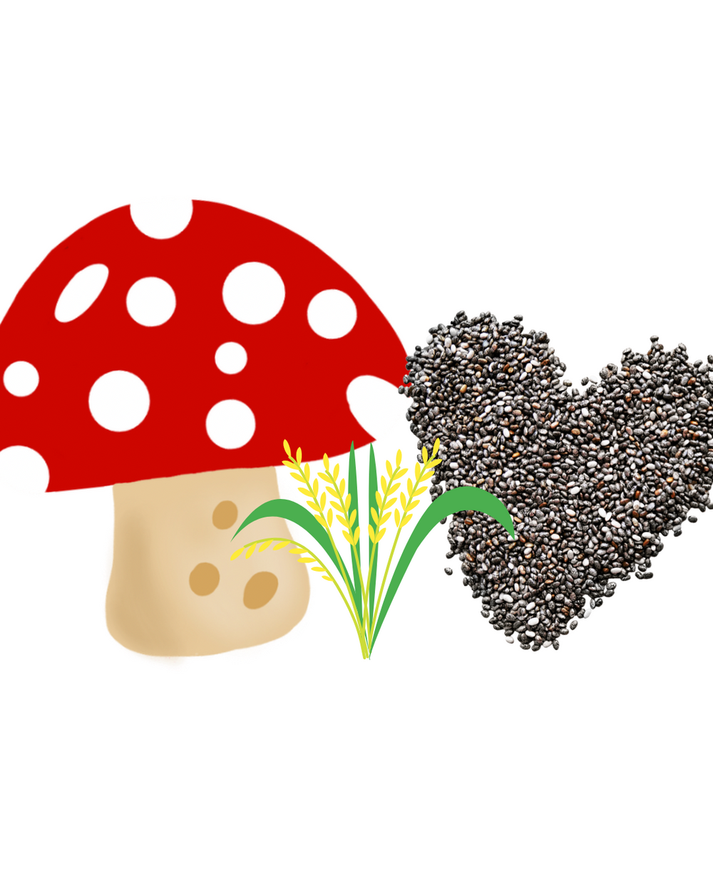 Tips and Tricks – Oh So Amazing Supps